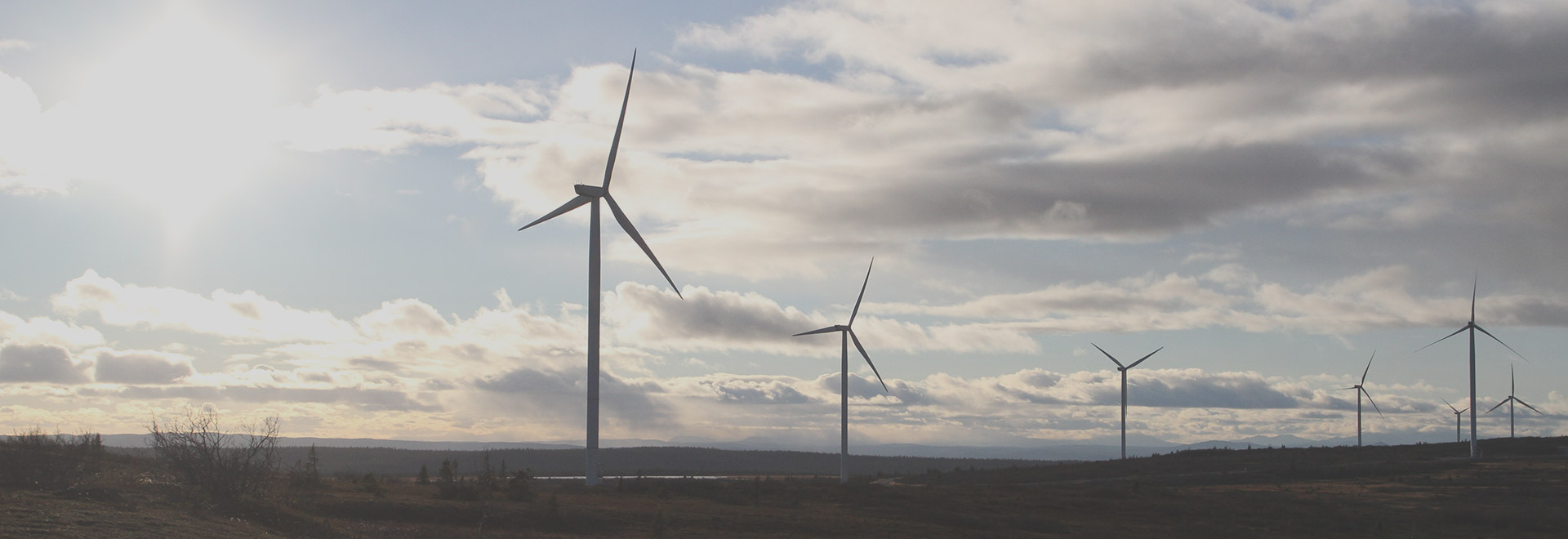 Wind Power Technology Solutions | Learn more here