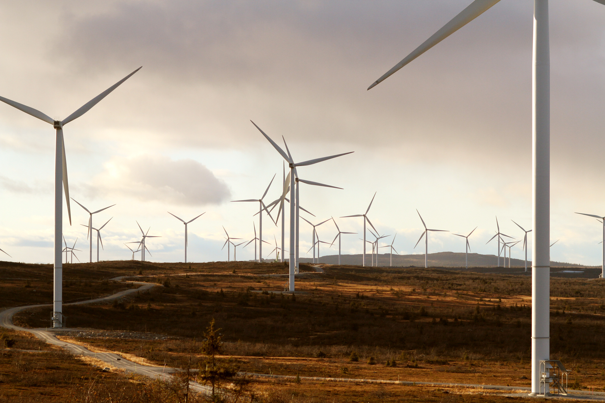 Wind power case studies