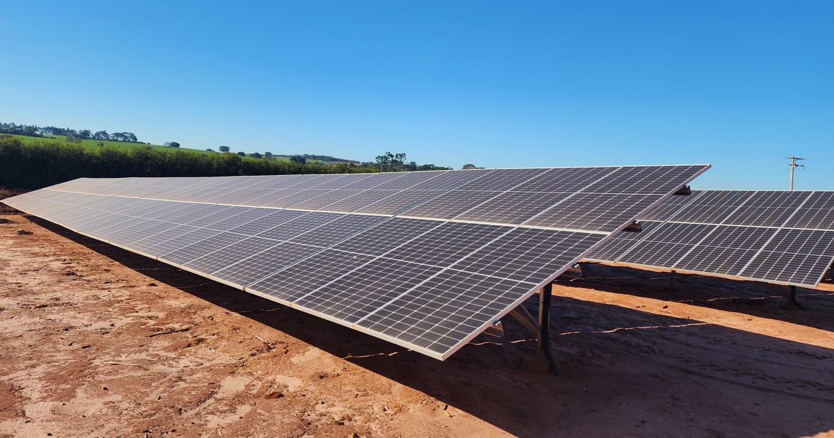 Case: AGC 150 Hybrid helps egg production in Brazil climate